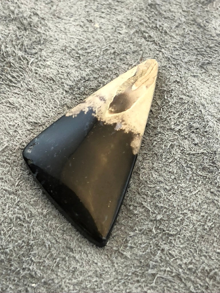 Agatized Petrified Palm Root - Badge Cabochon - 4.9 grams – Tundrafox ...