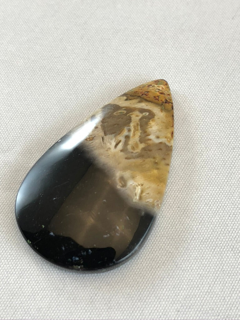 Agatized Petrified Palm Root - Pear Cabochon - 11.9 grams – Tundrafox ...