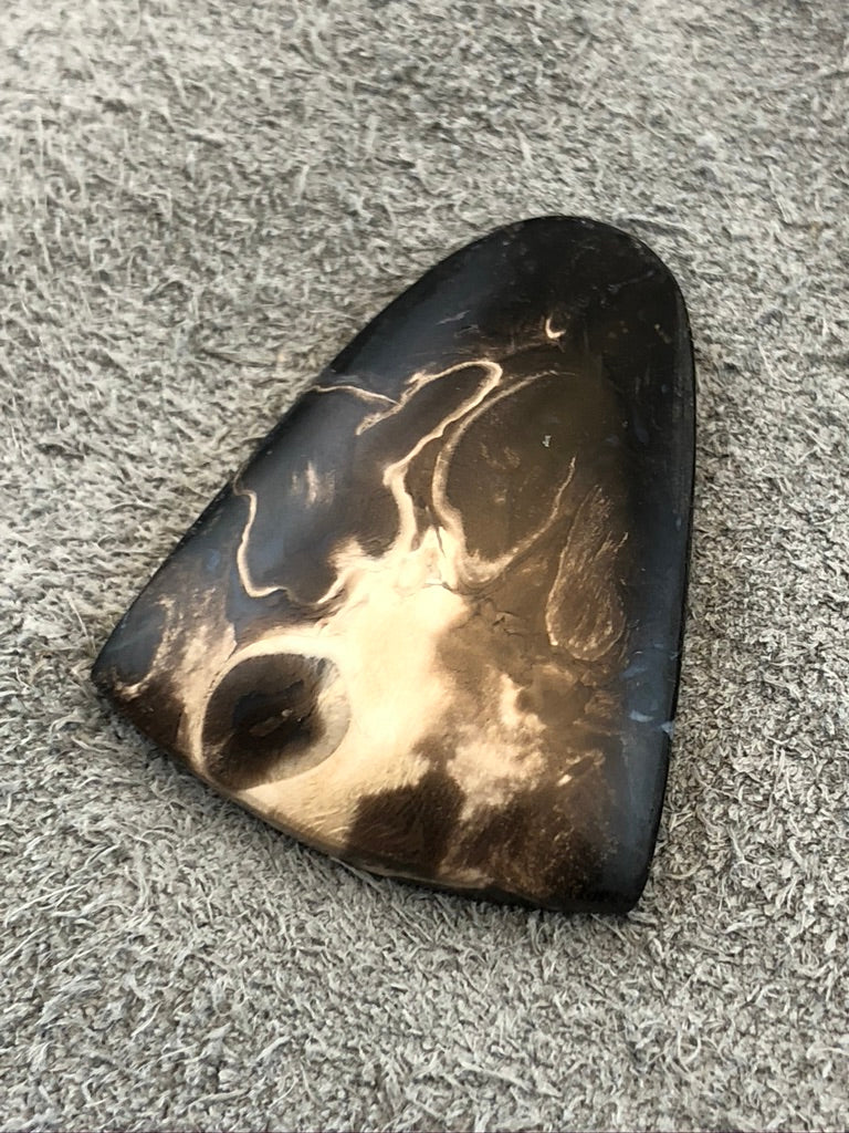 Agatized Petrified Palm Root - Badge Cabochon - 5.6 grams – Tundrafox ...